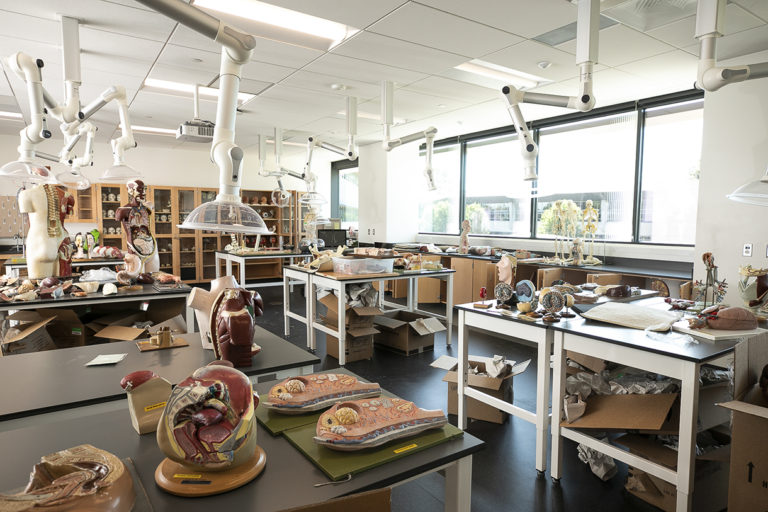 CSU Sacramento Ernest E. Tschannen Science Complex - Bergelectric